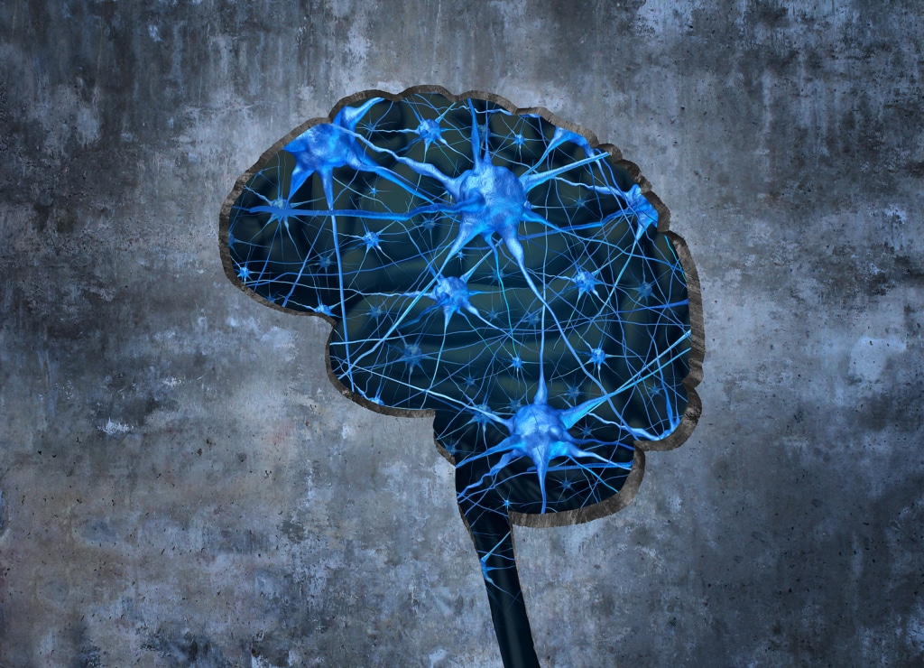 Recent Autism Scientific and Clinical Research - Nevada Autism Center