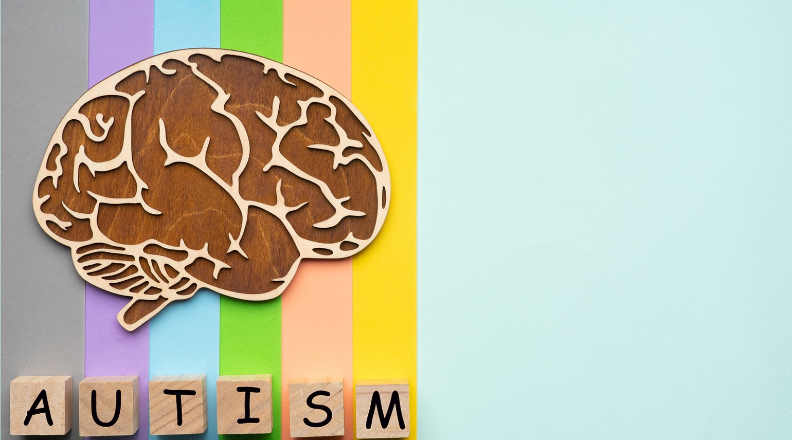 Platinum Bay Technologies a unique model for the employment of autistic ...