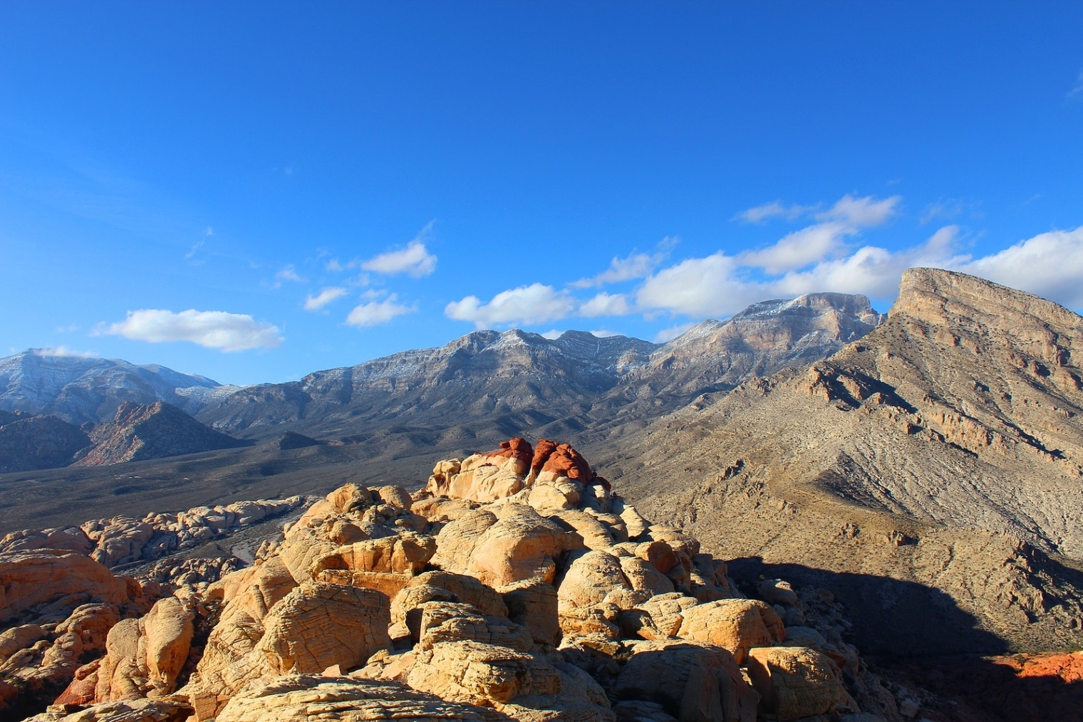 Boy With Autism Saves Choking Friend - Nevada Autism Center